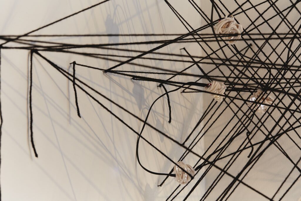 Dark Matters – Elizabeth Murton